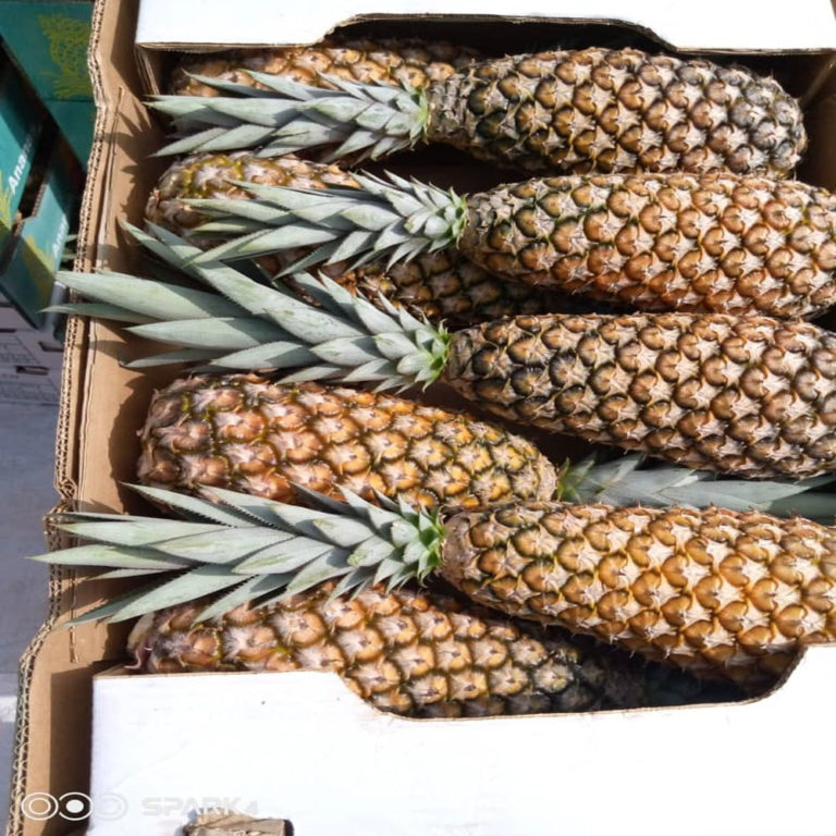 Ananas Pain de Sucre – MARCHE DE L'AGRIPRENEUR
